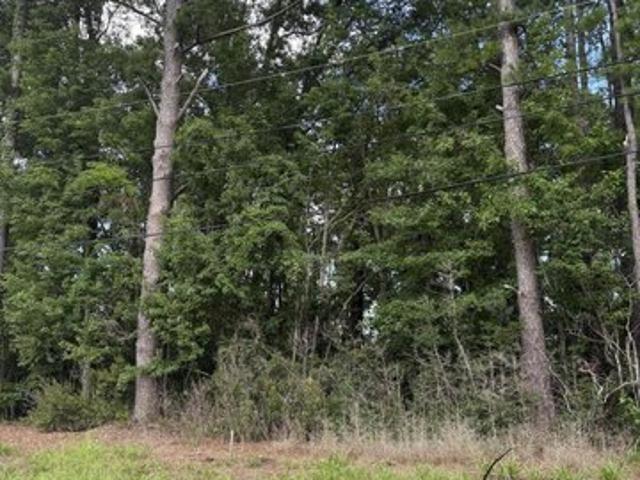 University Dr Lot 184, North Charleston, SC 29418