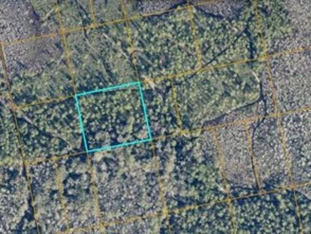 No St, Oak Hill, FL 32759