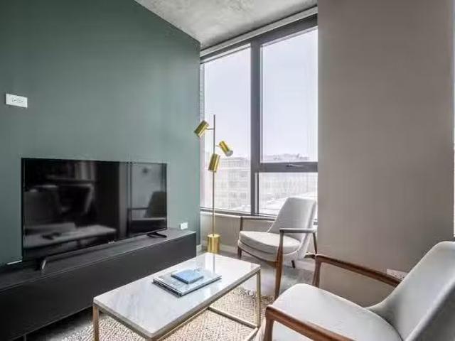 Union West Apartments, 939 W Washington Blvd, West Loop Stud.