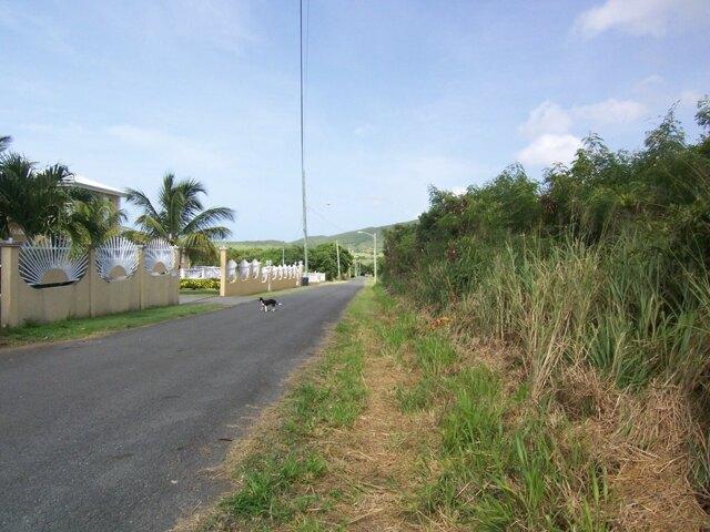 Union And Mt Wash Ea, Saint Croix, Plot For Sale