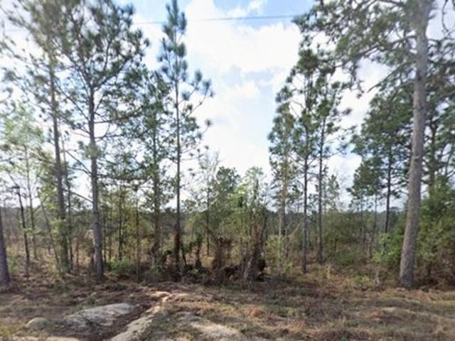Union Ave, Interlachen, FL 32148