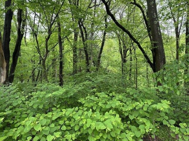 Union City Rd, Prospect, Plot For Sale