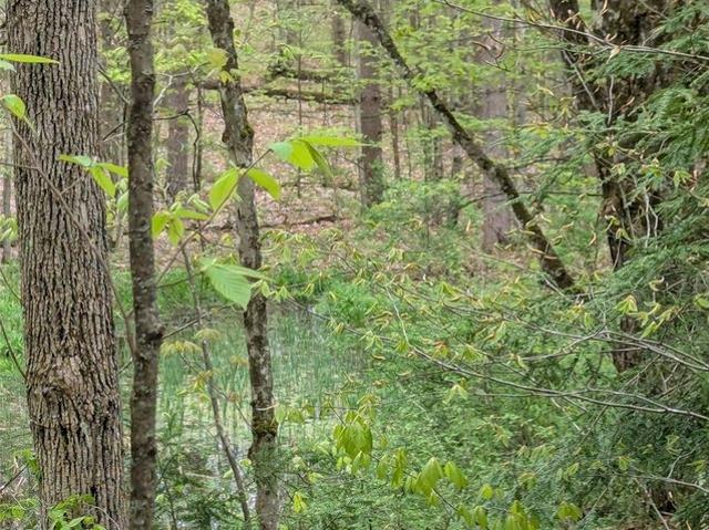 Union Hill Rd, Candor, NY 13743