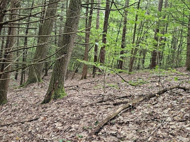 Union Hill Road