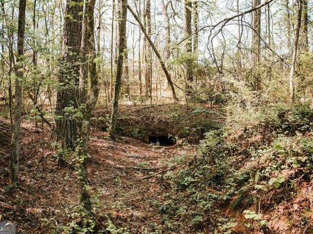 Union Point Rd, Stephens, GA 30667