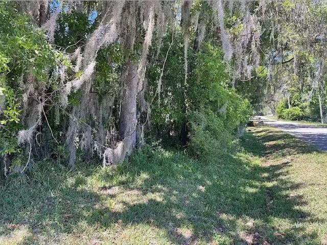 Union St, Brooksville, FL 34601 MLS U8235458