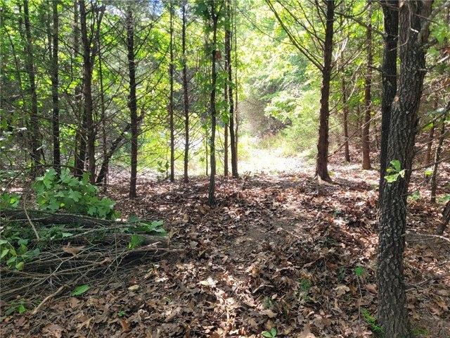 Union Star Rd Lot 0, Winslow, AR 72959