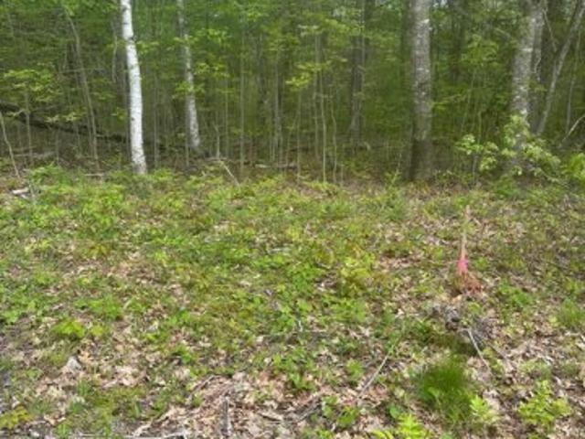 Unionville Rd Lot,steuben, Plot For Sale
