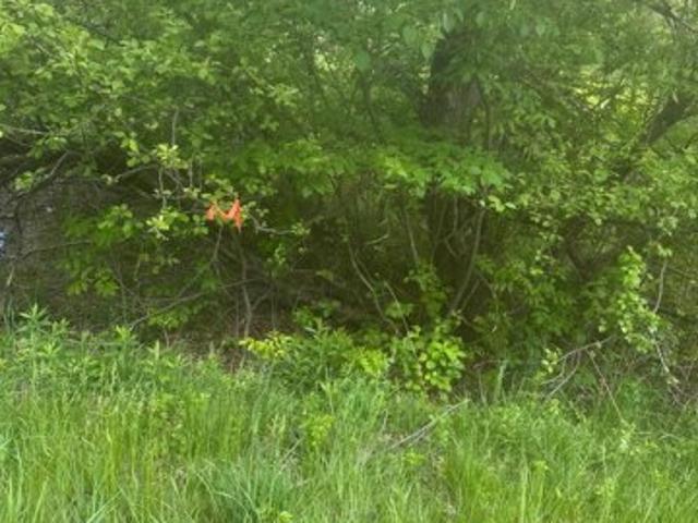 Unionville Rd Lot,steuben, Plot For Sale