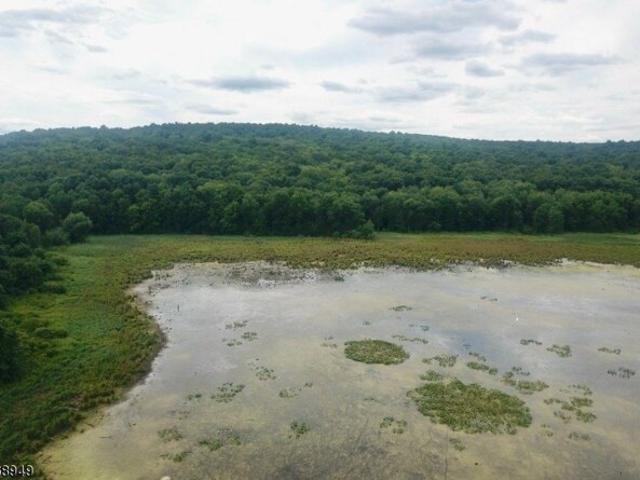 Unionville Rd, Wantage Township, Plot For Sale