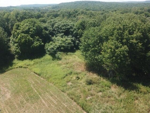 Unionville Rd, Wantage Township, Plot For Sale