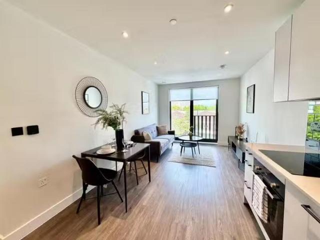 Unique 1 BA 1 bedroom apartment for rent in Brand New Home Gl.