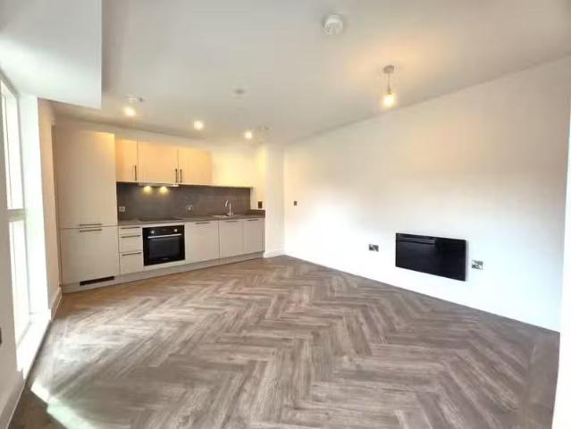 Cozy 1 BA 1 bedroom flat for rent in Upper Gough Street, Birmi.