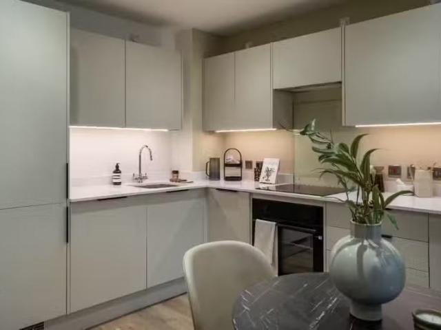 Unique 1 BA 1 bedroom flat for rent in B116, Anchor Works, Dum.
