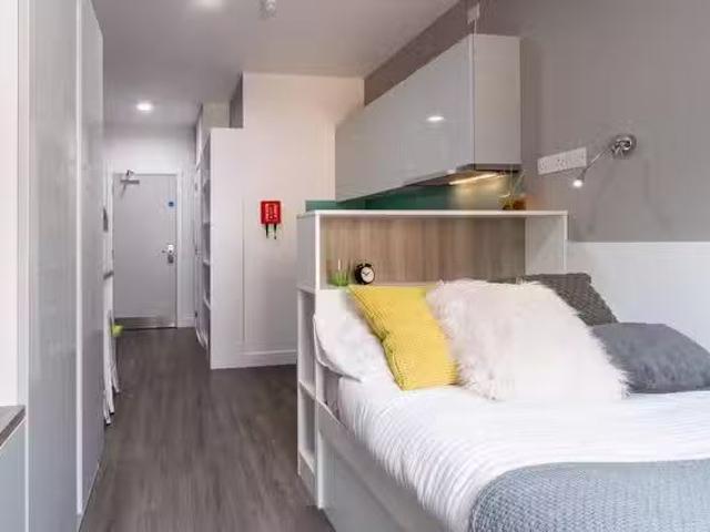Nice 1 BR Deluxe Studio