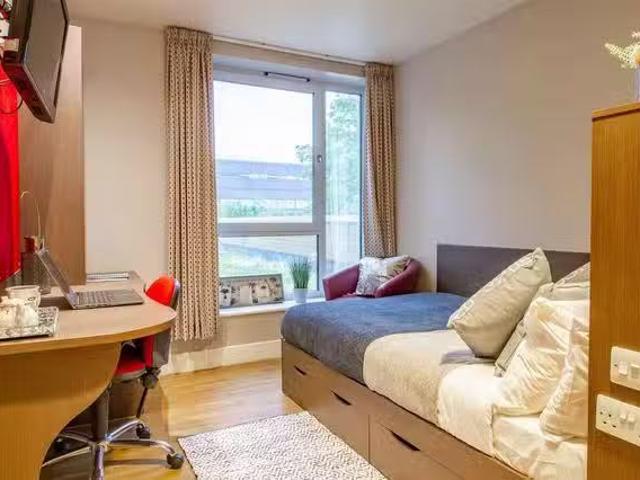 Rental! 1 BR Gold Twin Studio