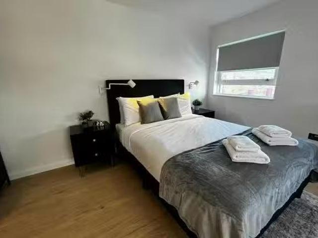 Unique 1 BR Stockwell Street, London