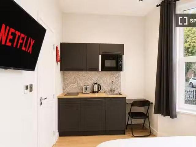 Unique 1 BR Studio for rent in Hounslow Heath, London