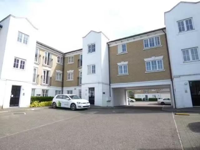 Cheap 2 BA 2 bedroom apartment for rent in George Williams Way.