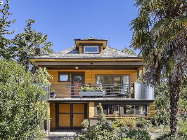Unique Portland Residential Jungle