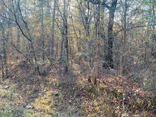 Unk Black Gum Ln, Mena, AR 71953