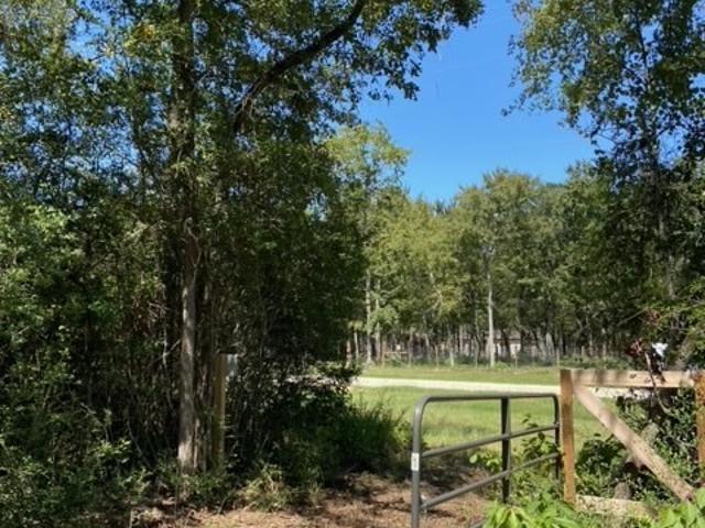 UNK Sawmill Road