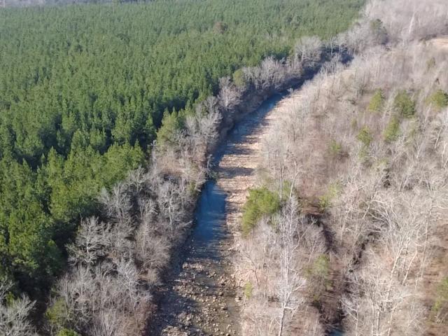 Unk Polk Road 90