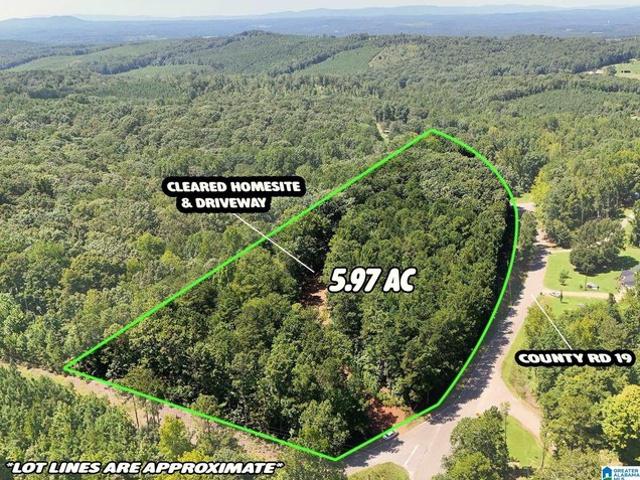Unkn County Road 19 Lot 597, Heflin, AL 36264