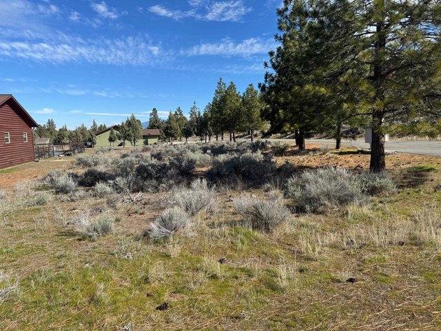 Unt 9 1 Hidden Valley Rd Lot 201, Weed, CA 96094