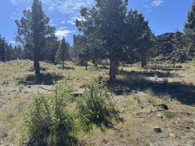 Unt 9 2 Golden Hill Dr Lot 268, Weed, CA 96094