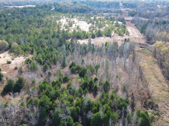 Us 49, Bentonia, MS 39040