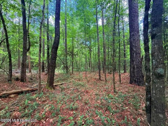 Us 98 Highway, Smithdale, MS 39664