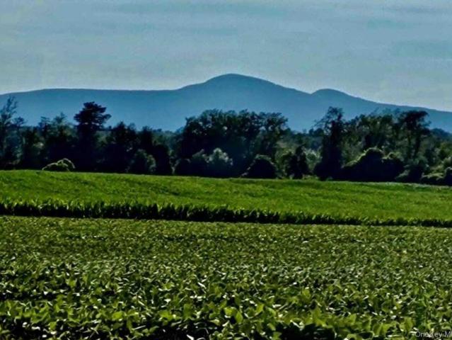 Us 9 NY 99044614