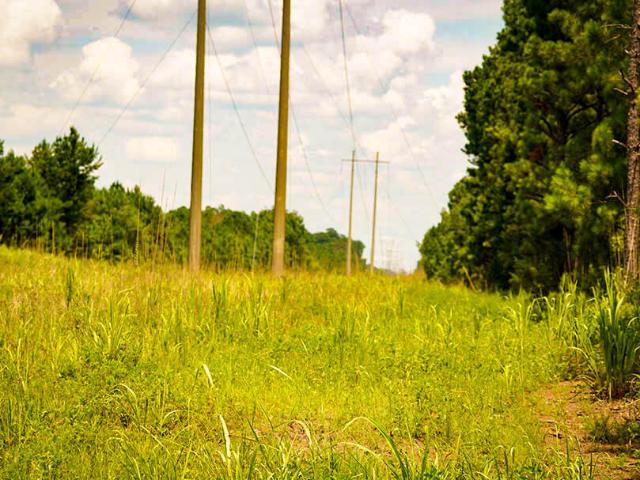 US 11, York, AL 36925