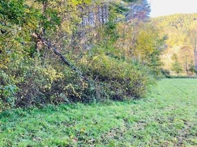 Us 129 S Lots 4 & 5, Robbinsville, NC 28771