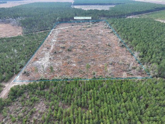 US 171 S, Deridder, LA 70634
