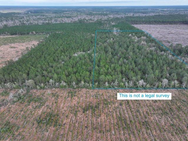 US 171 S, Deridder, LA 70634