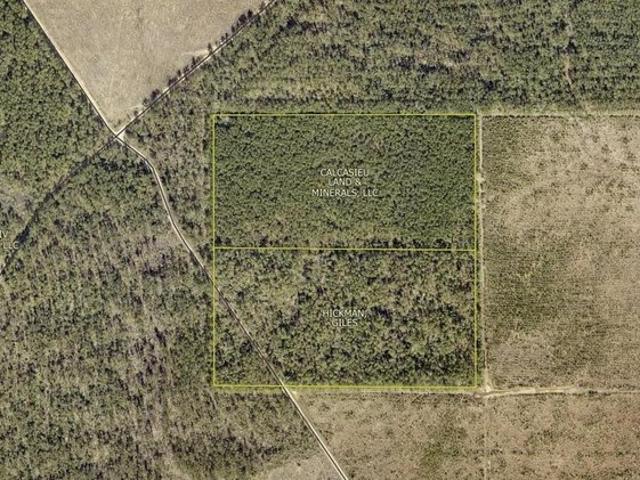 US 171 S N/A, Deridder, LA 70634