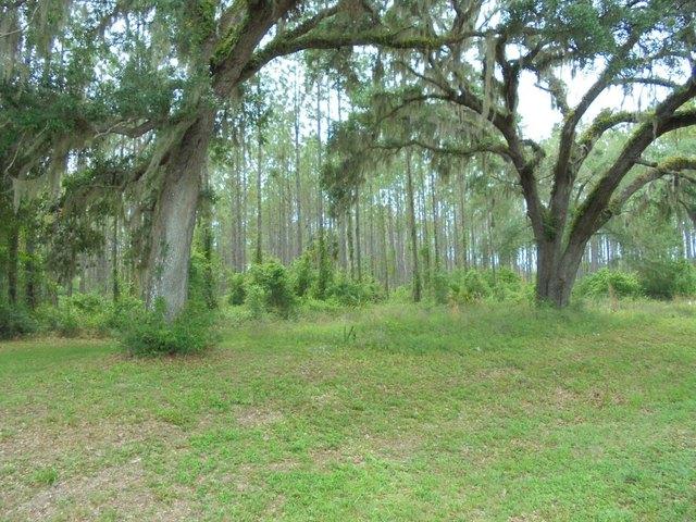 Us 19 S, Perry, FL 32348