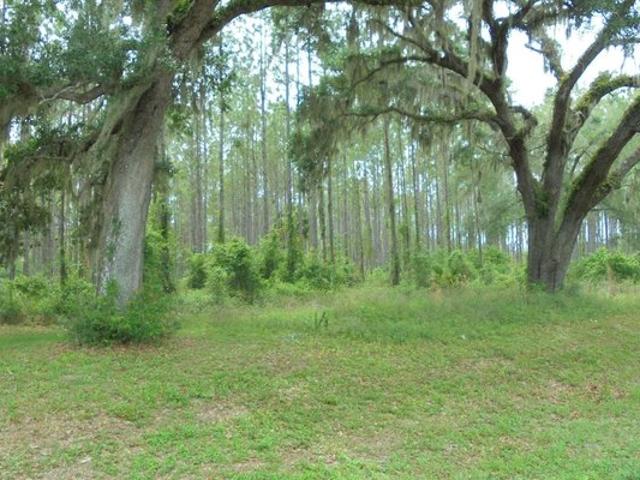 Us 19 Soutth, Perry, FL 32348
