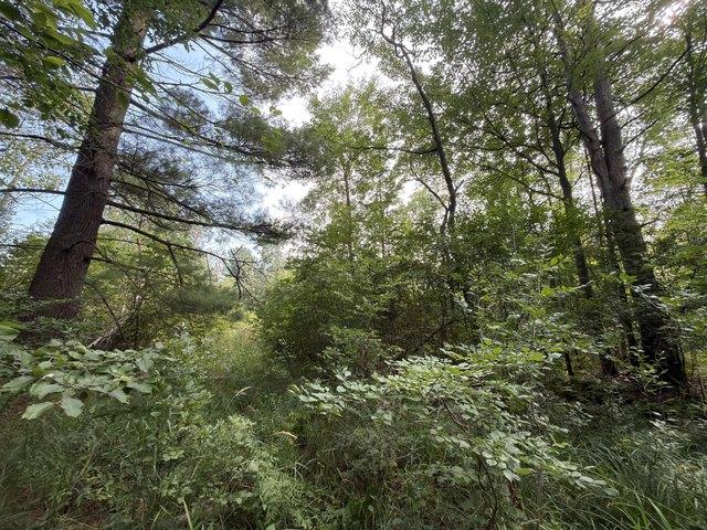 Us 31 # Us31 # Manistee, MI 49660