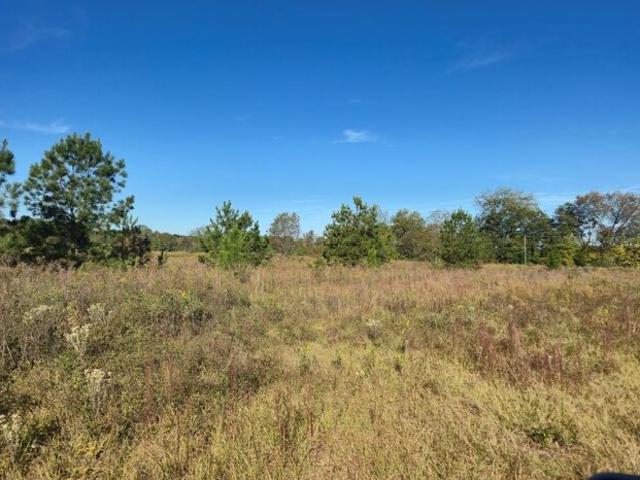 Us Highway N, Americus, Plot For Sale