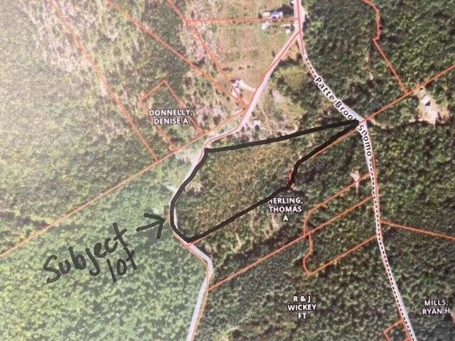 Us Highway Forestry Rd #,albany Township, Plot For Sale