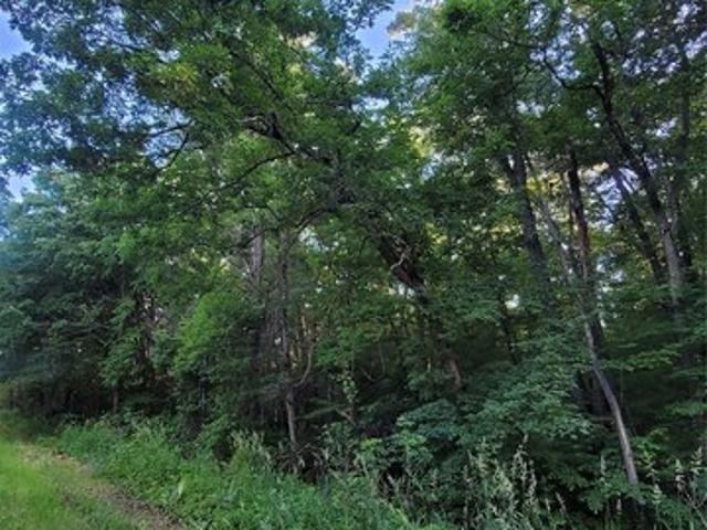 US Highway 12 Lot 4, Merrillan, WI 54754