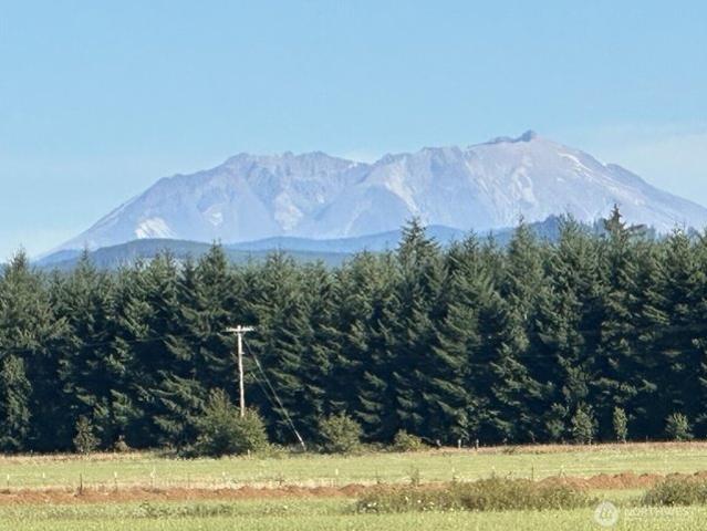 US Highway 12 Lot 4, Onalaska, WA 98570