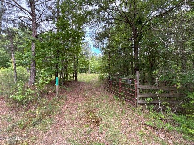 US Highway 341 N Lot BJ A, Musella, GA 31066
