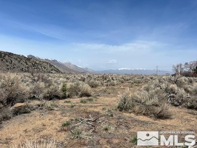 US Highway 395 Lot X3, Coleville, CA 96107