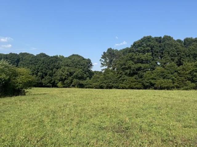 US Highway 441 S, Commerce, GA 30529