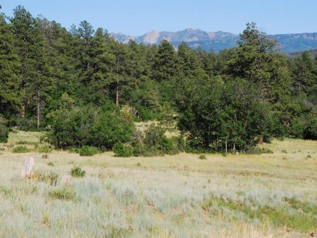 US Highway 84 # 47, Pagosa Springs, CO 81147