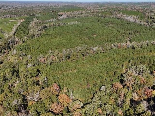 US Highway 82, Eufaula, AL 36027